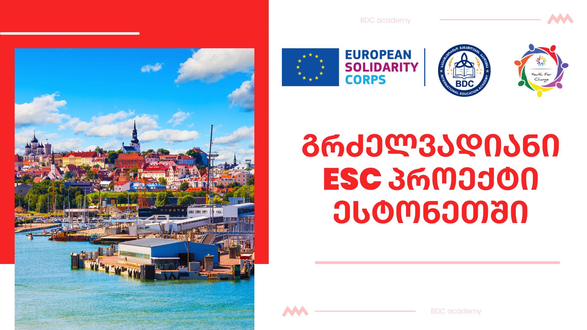 ესტონეთი - გრძელვადიანი ESC პროექტი - BDC ACADEMY